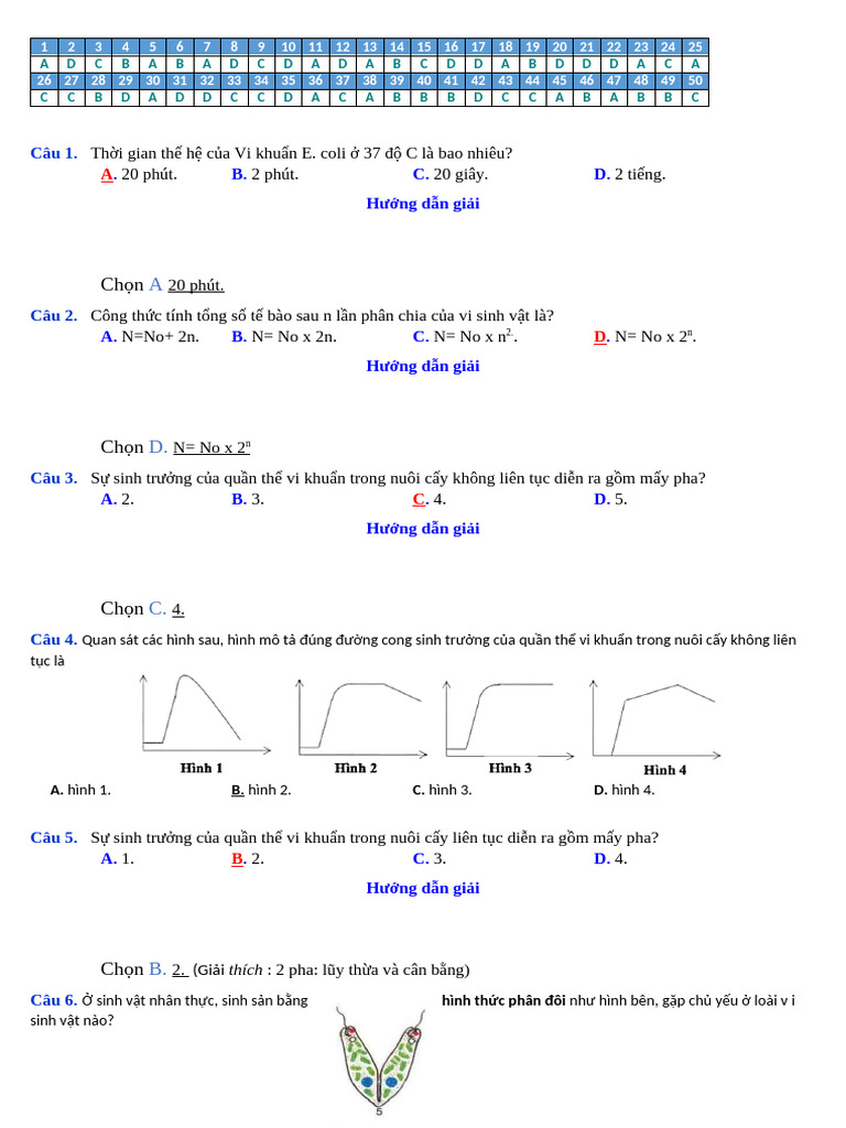 Đề + HDG ST Và SS VSV | PDF