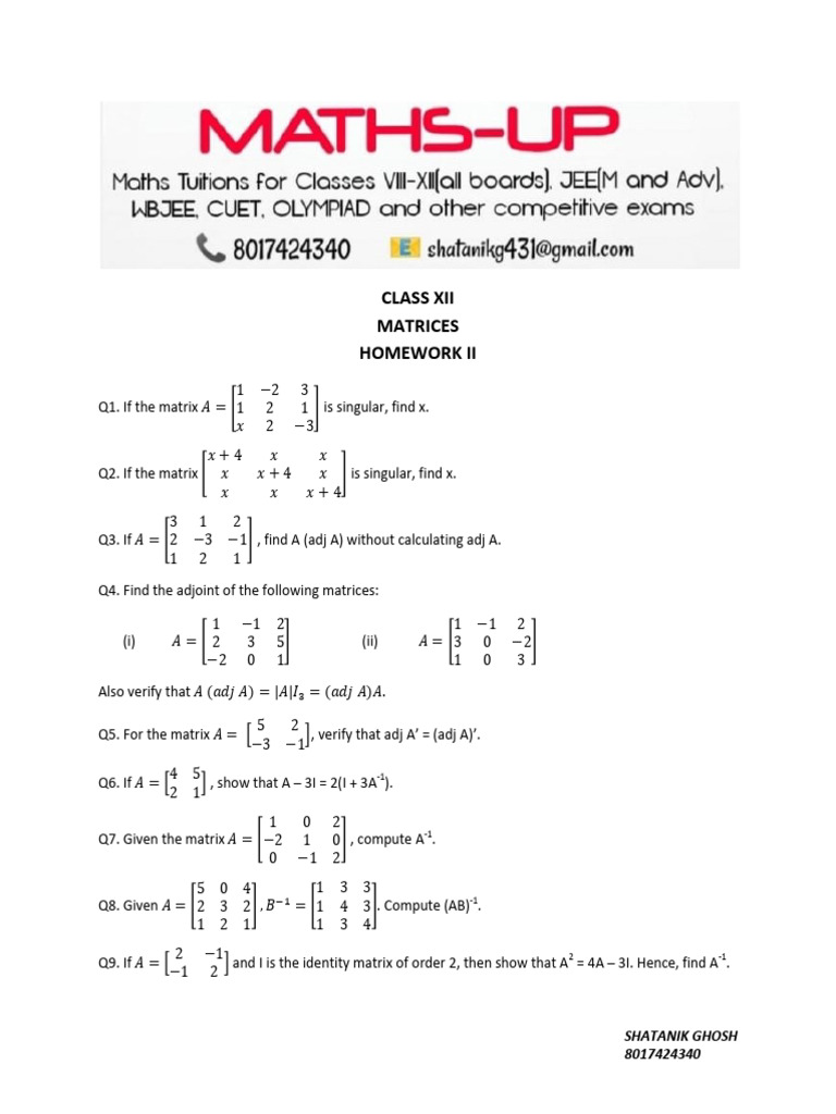 Class Xii Matrices Homework Ii-1 | PDF | System Of Linear Equations ...