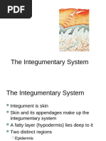 Medical Terminology Chapter 2 With Complete Solutions | PDF | Human ...