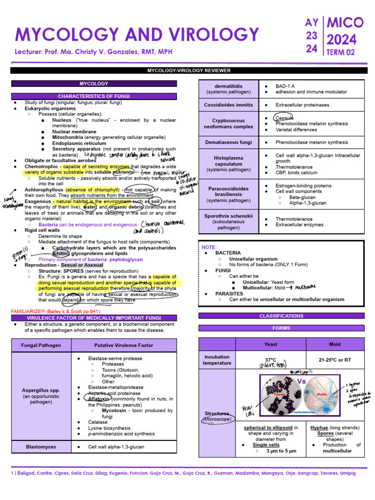 (Lec 04) - Myco Viro | PDF | Fungus | Bacteria