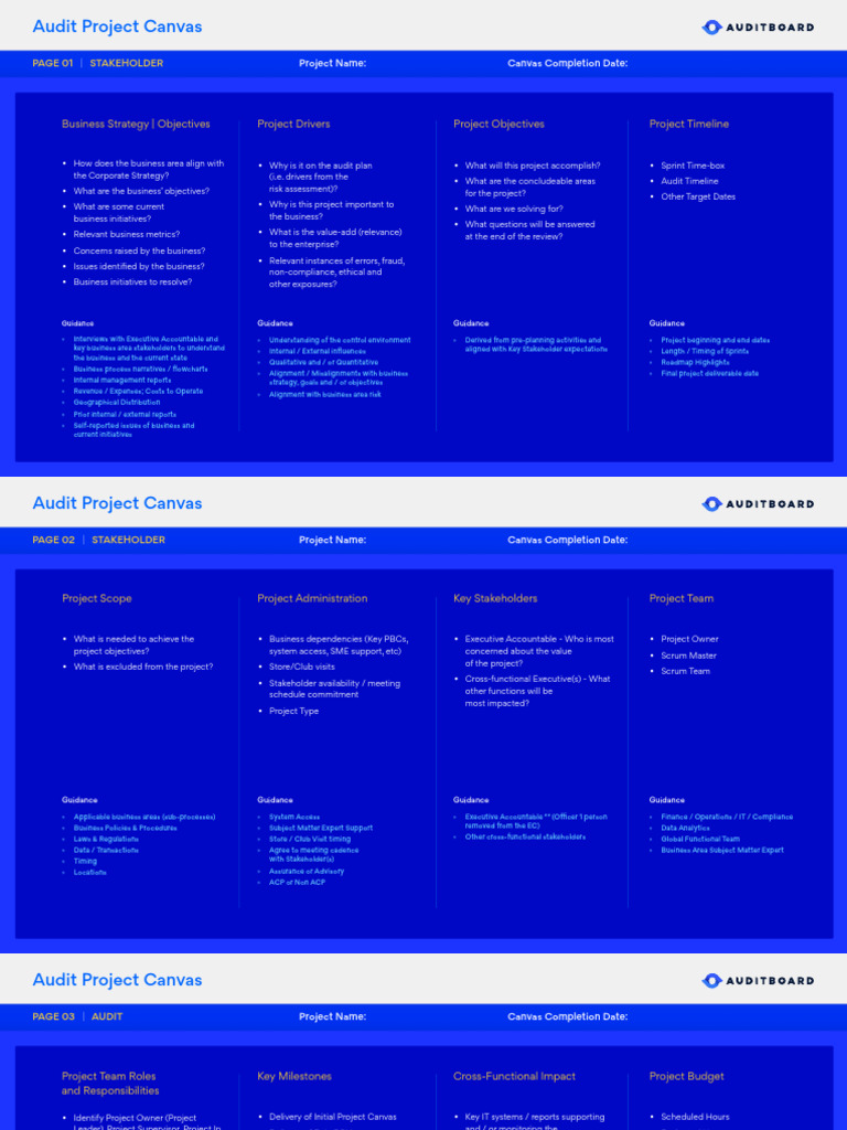 Audit Project Canvas Overview | PDF | Audit | Risk