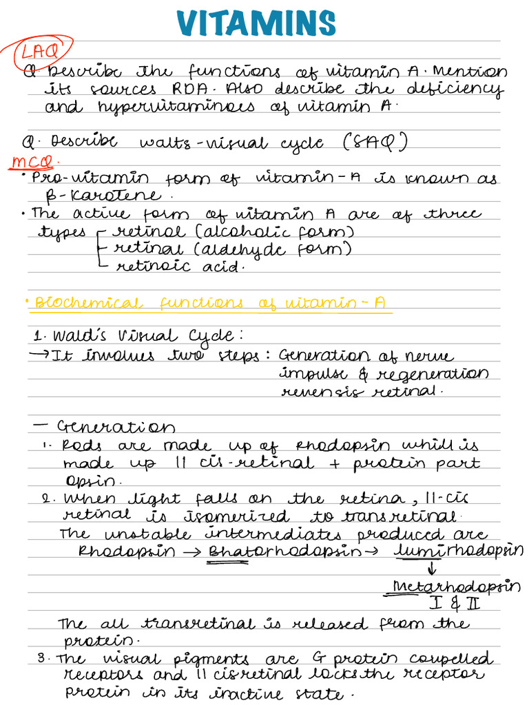 Vitamins 2 | PDF