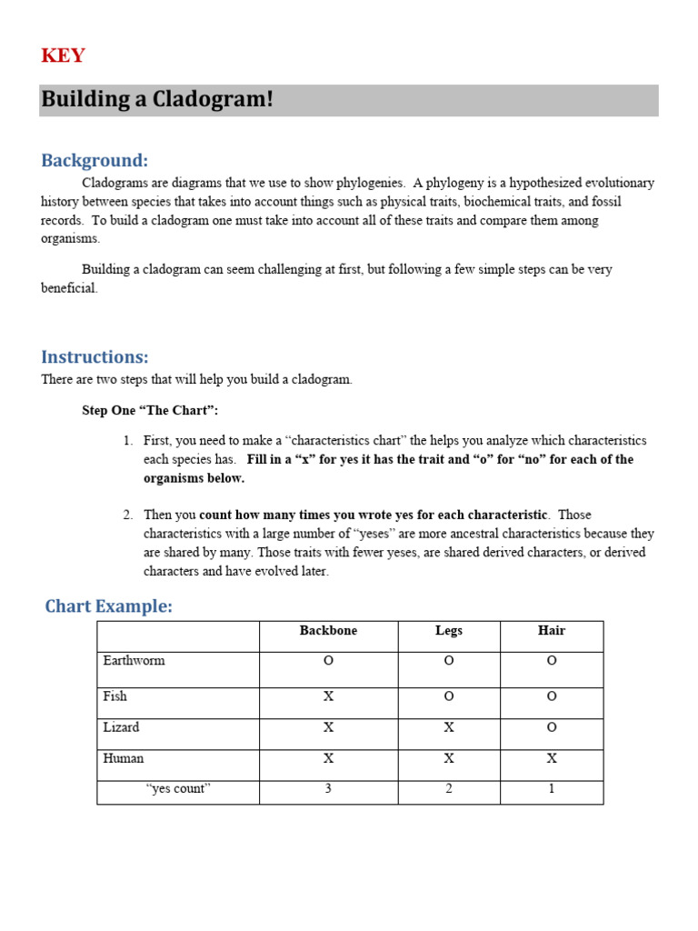 KEY Building A Cladogram Practice | PDF | Evolution | Species