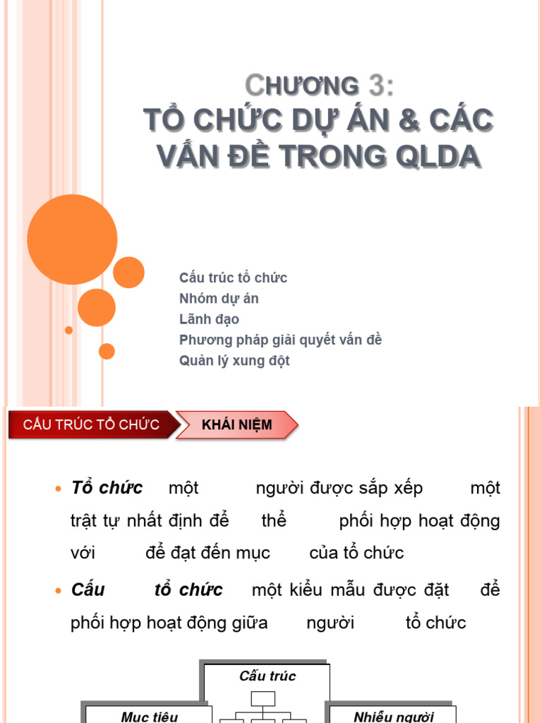 quan-ly-du-an-cho-ky-su__c3-to-chuc-du-an-sv - [cuuduongthancong.com] | PDF