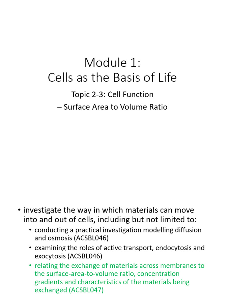 Cell Function: Surface Area to Volume Ratio | PDF | Cell (Biology ...