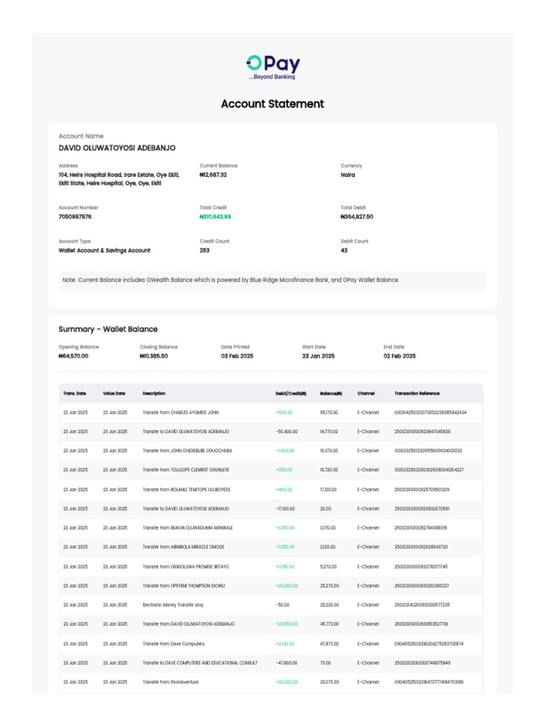 David Oluwatoyosi Adebanjo - 7050997976 - 20250203154207 | PDF | Debits And Credits ...