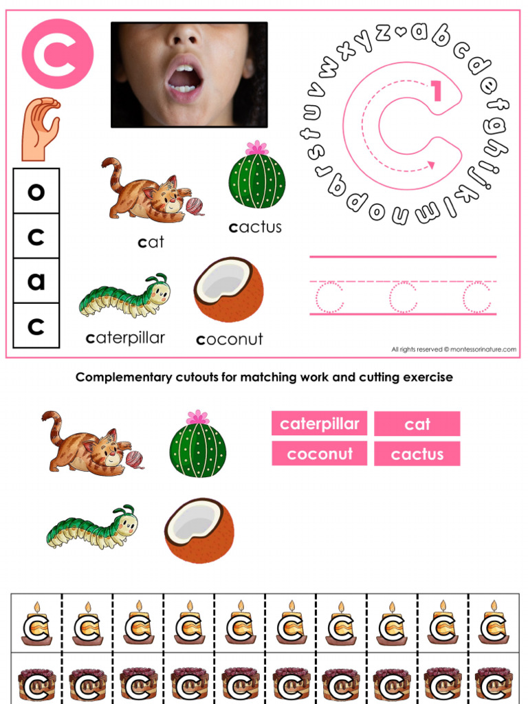 Letter C Activity Page Montessori Nature Free Printable | PDF