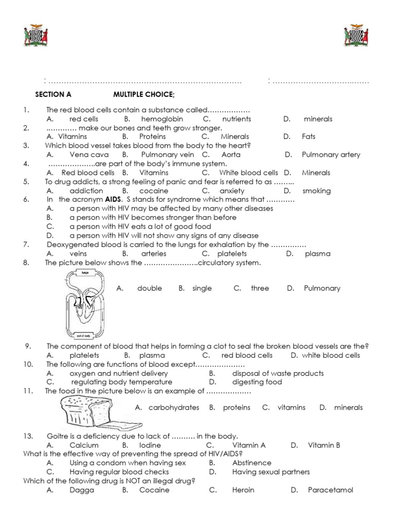 Grade 6 Integrated Science Test 2025 | PDF | Blood | Artery