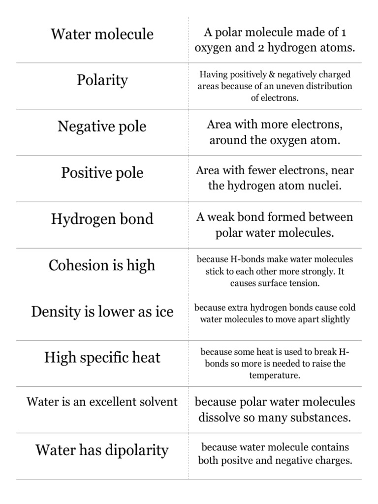 Properties of Water | PDF