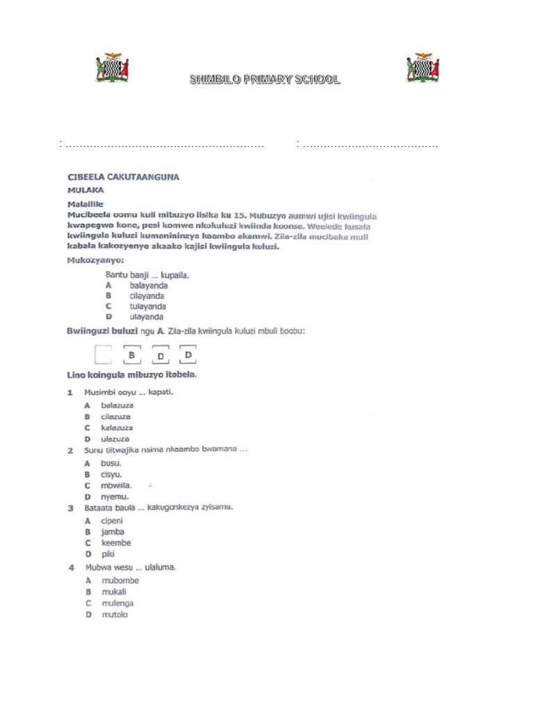 G6 Chitonga Term 1 2025-SHIMBILO | PDF