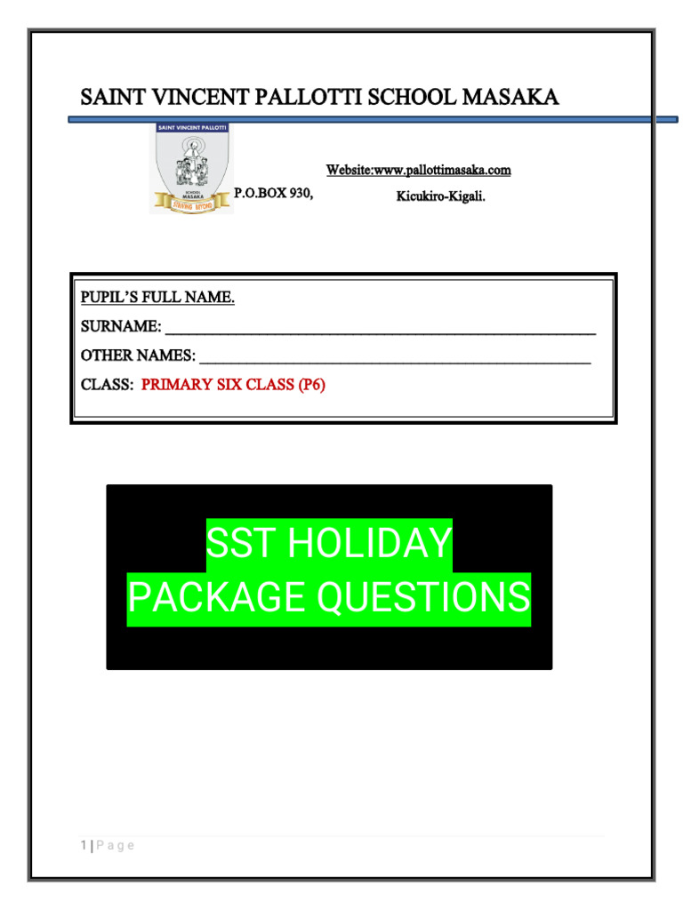 P6 SST Holiday Package Questions | PDF