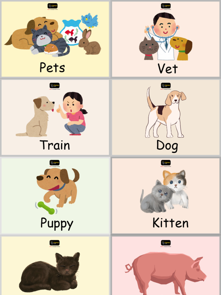 Pets&Vets PDF | PDF