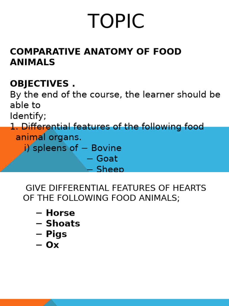 Comparative Anatomy of Food Animals-2-1 | PDF | Kidney | Heart