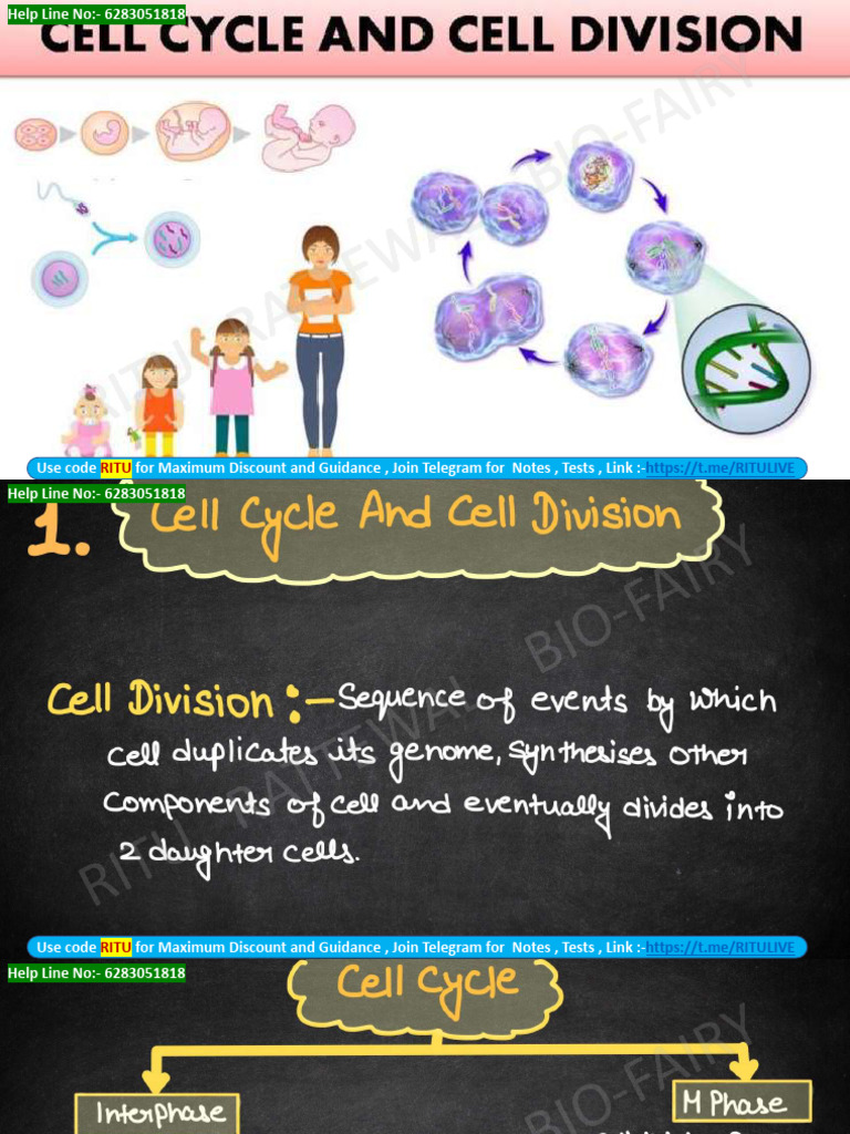 NEET Cell Cycle Study Guide and Discounts | PDF | Meiosis | Mitosis