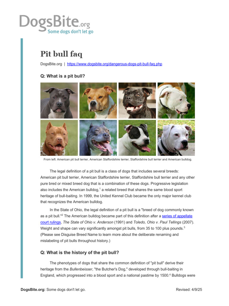 Dangerous Dogs Pit Bull Faq | PDF | Pit Bull | Staffordshire Bull Terrier