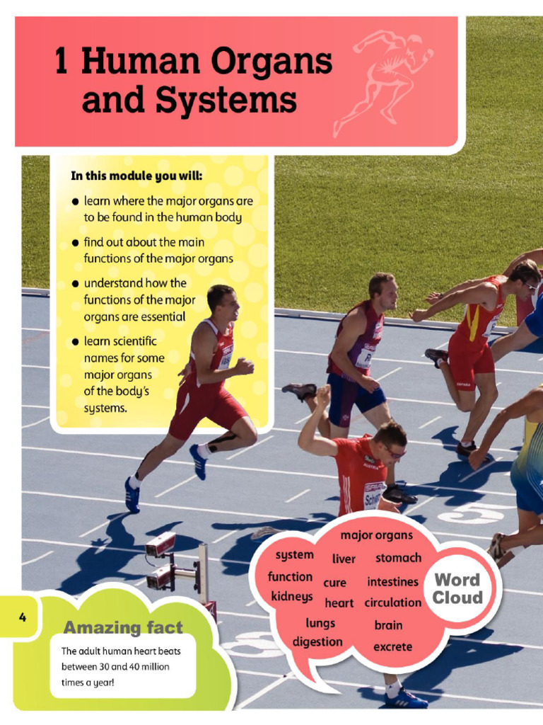 Oxford International Primary Science Stage 6 Age 10-11 Student Workbook ...