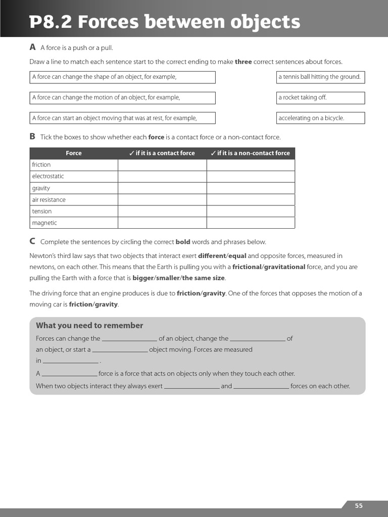 P8.2 Forces Between Objects | PDF