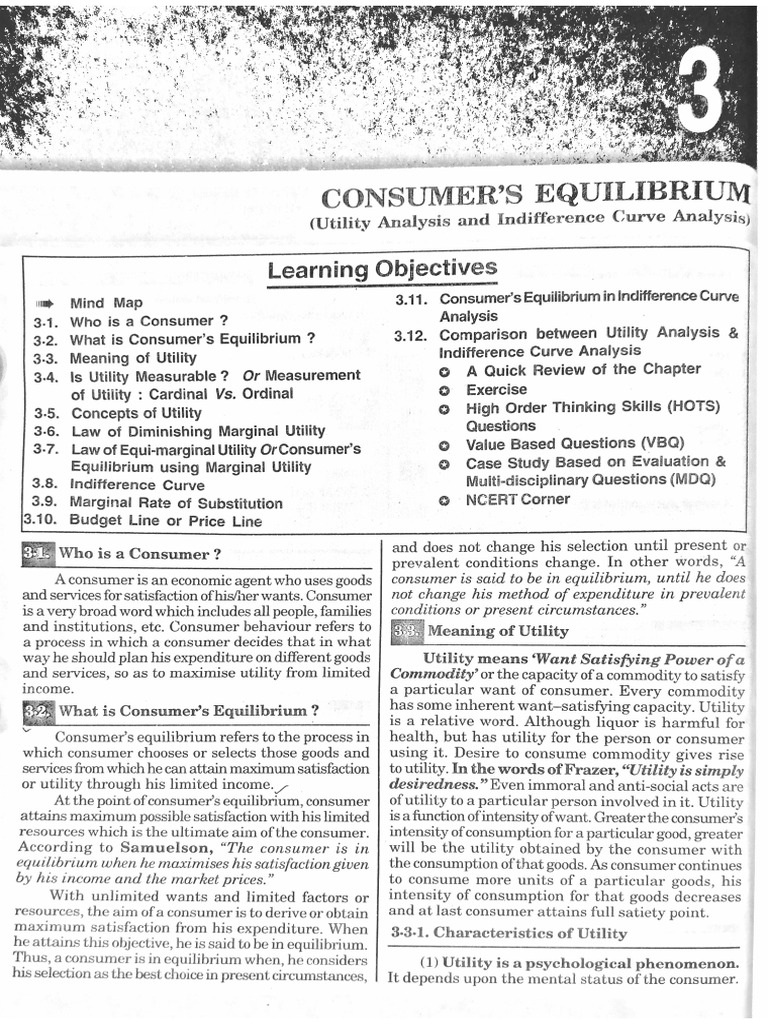 Economics Chapter 3 Consumer Equilibrium | PDF