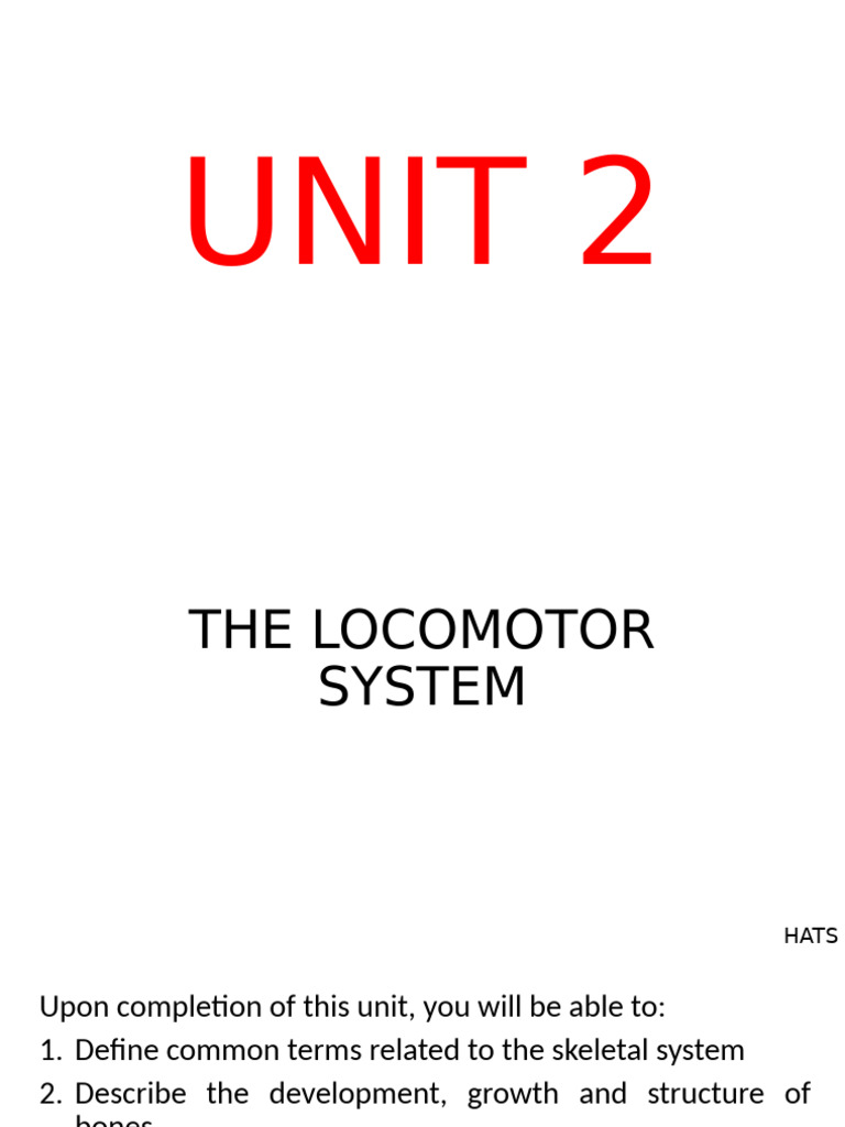 Overview of the Locomotor System | PDF | Vertebra | Vertebral Column
