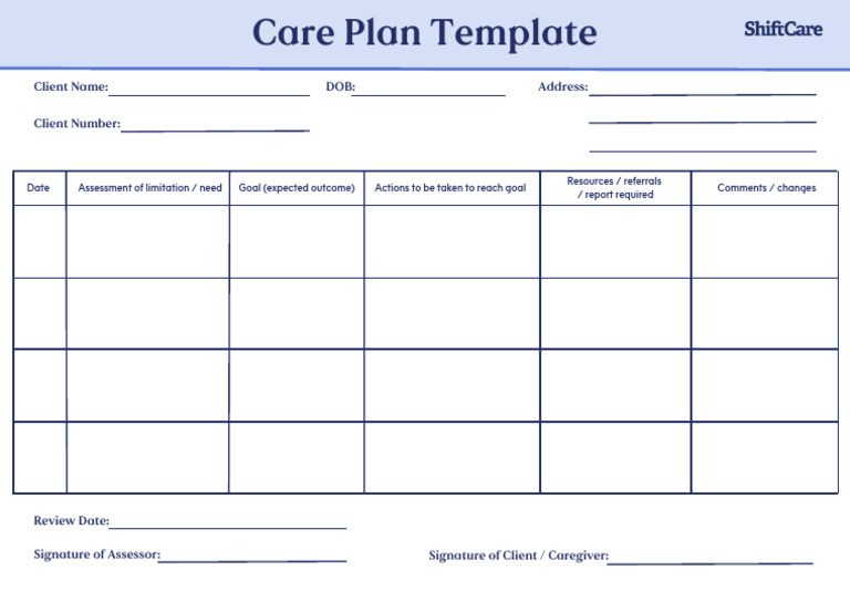 Care Plan Template for Client Assessment | PDF