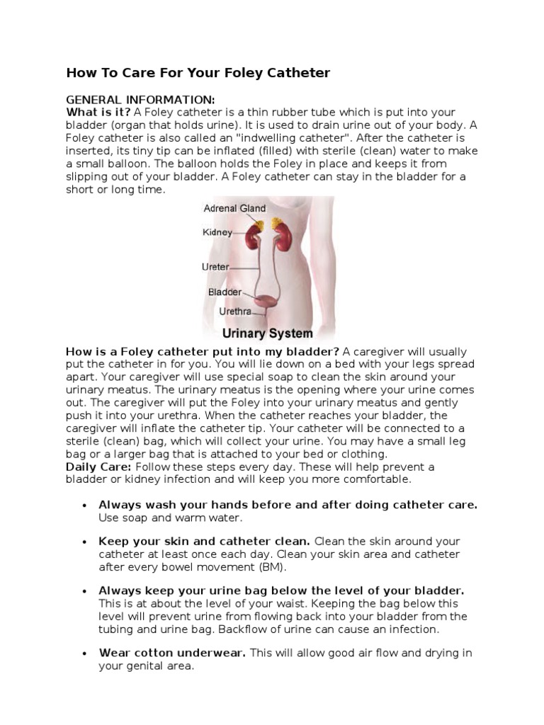 Foley Catheter Care | PDF | Catheter | Urinary Bladder