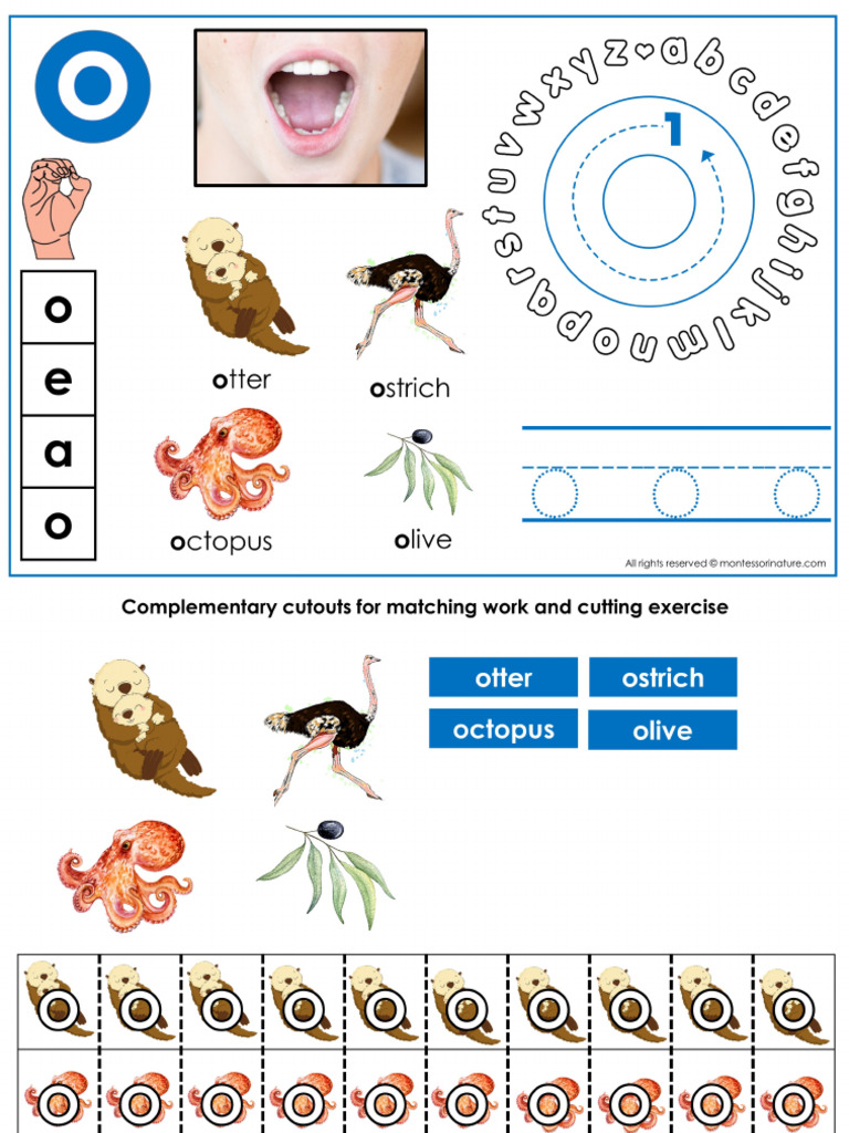 Letter O Student Activity Page Montessori Nature Free Phonics Printable ...