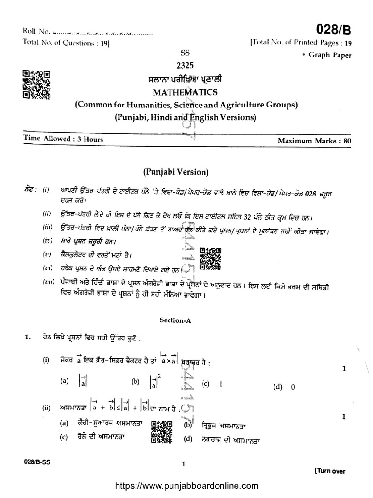 Punjab Board Class 12 Mathematics 028 B 2025 | PDF