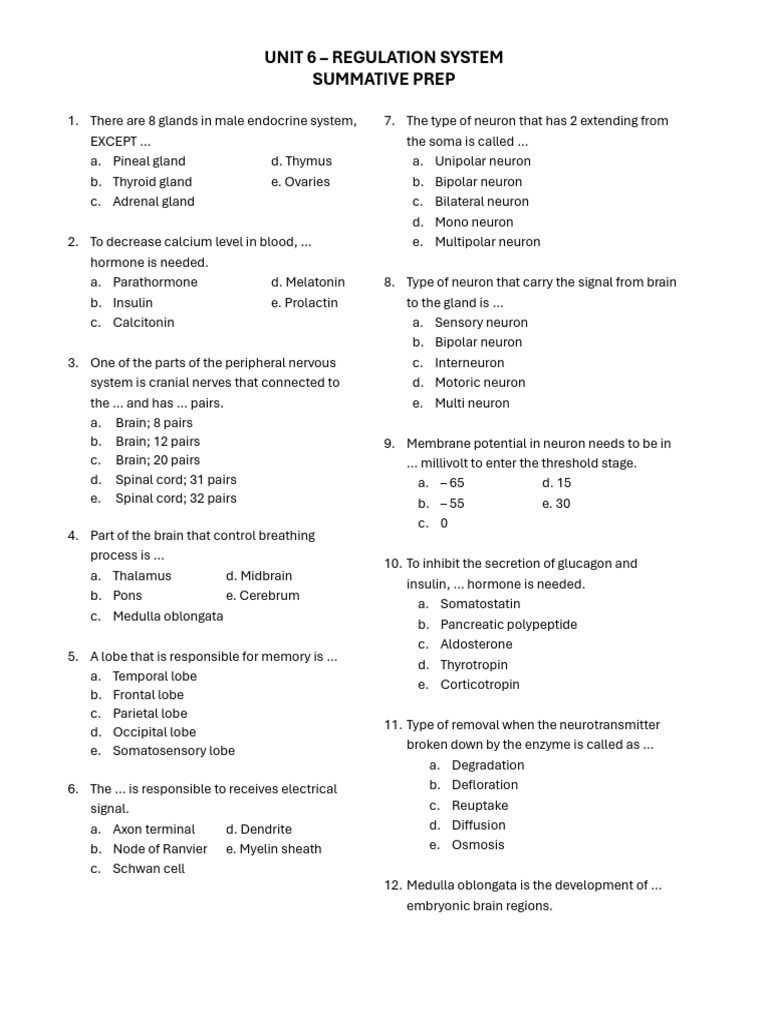 Endocrine and Nervous System Quiz | PDF | Neuron | Brain