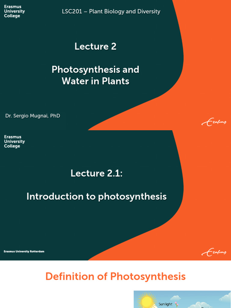 Lecture 2 - Photosynthesis and Water Relations-2 | PDF | Osmosis ...