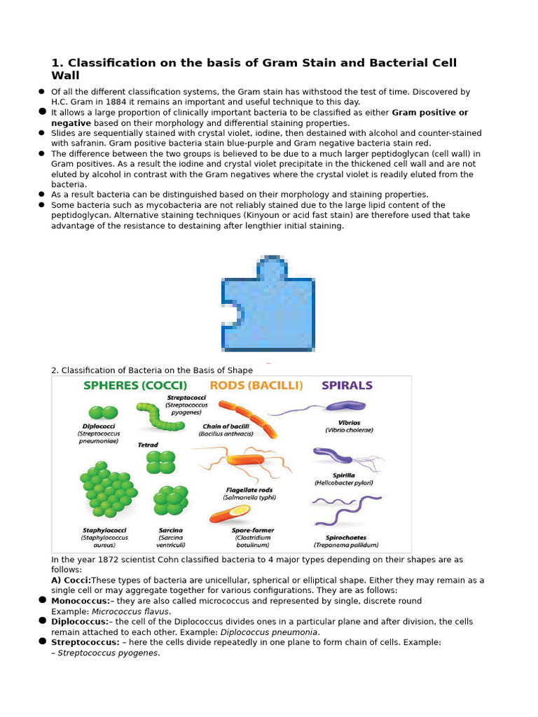 Classification of Bacteria | PDF | Bacteria | Staining
