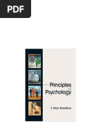 DAP IQ Administration, Scoring Sheets, and Interpretation | PDF ...