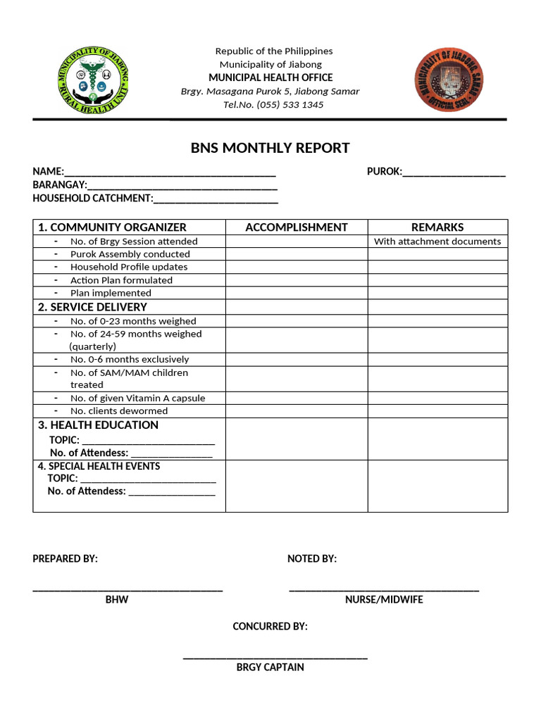 BNS Monthly Accomplishment Form | PDF