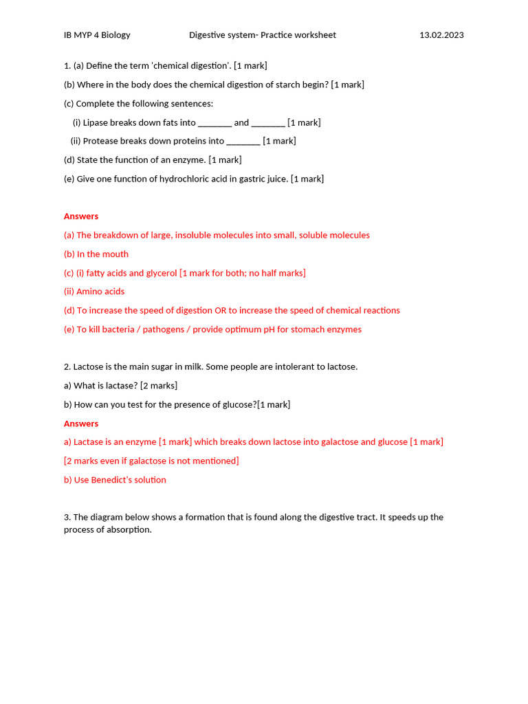 Digestive System - Practice Questions MS | PDF | Digestion | Chemistry