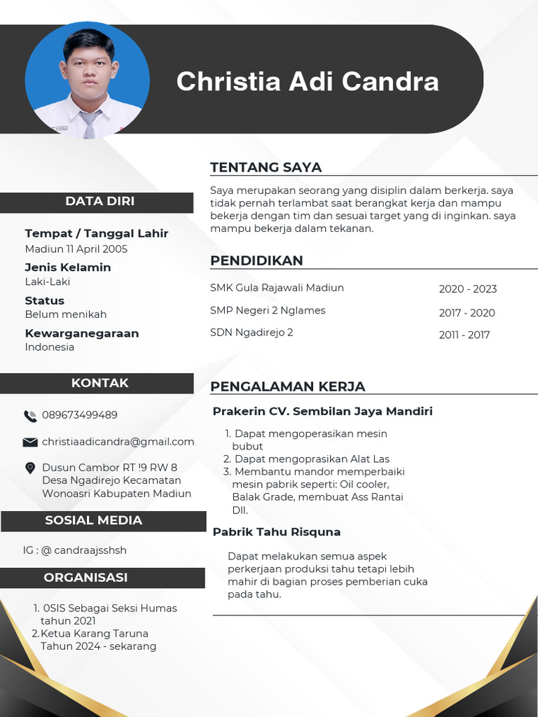 CV Candra | PDF