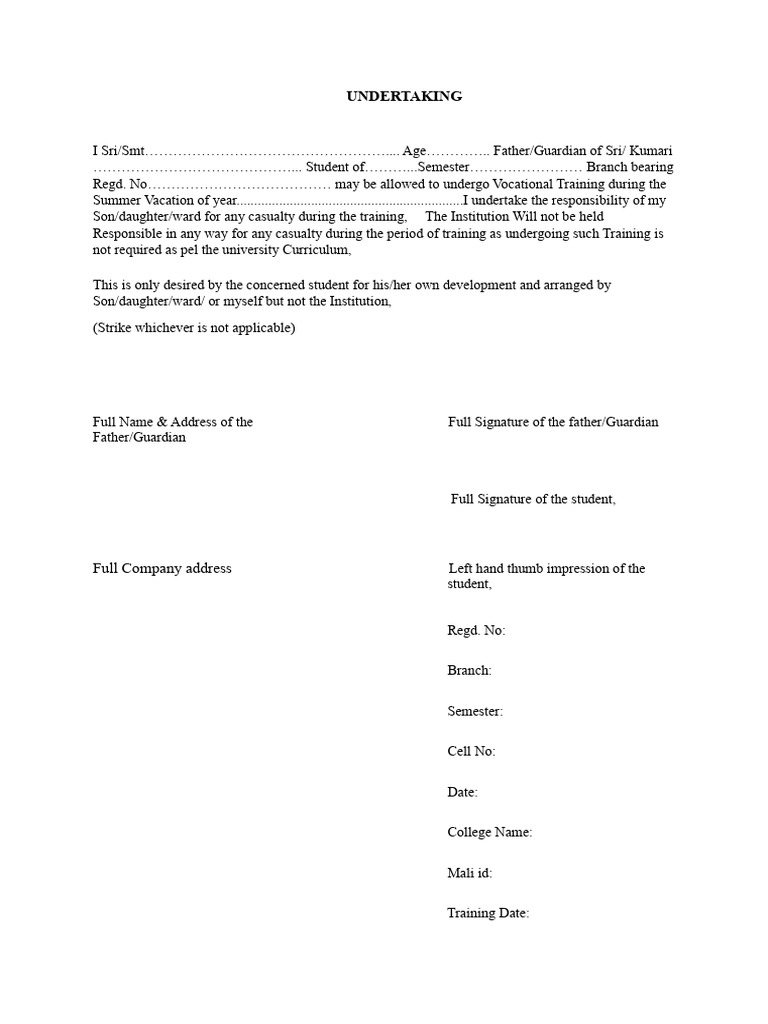 UNDERTAKING (Internship) - 250324 - 122813 | PDF