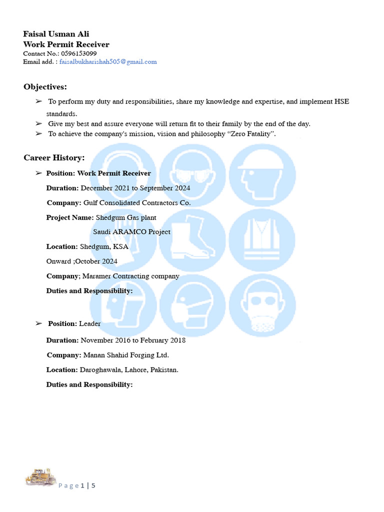 Faisal Usman Ali Resume | PDF