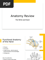 Hand and Wrist Anatomy Overview | PDF | Hand | Joints