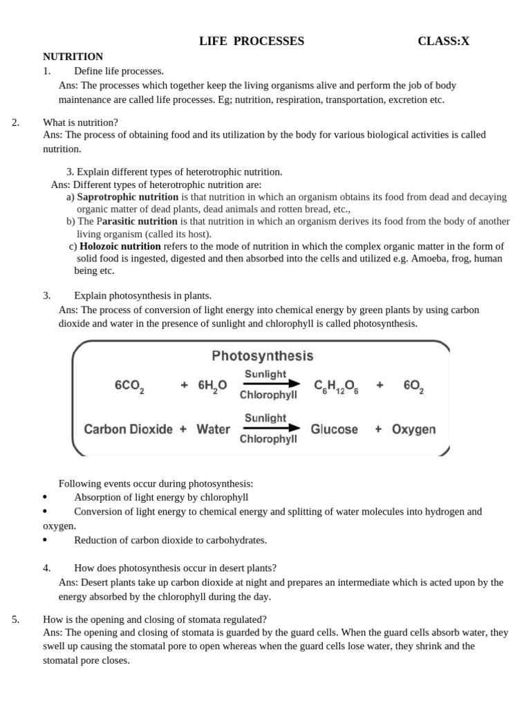 Nutrition - Life Processes | PDF | Digestion | Stomach