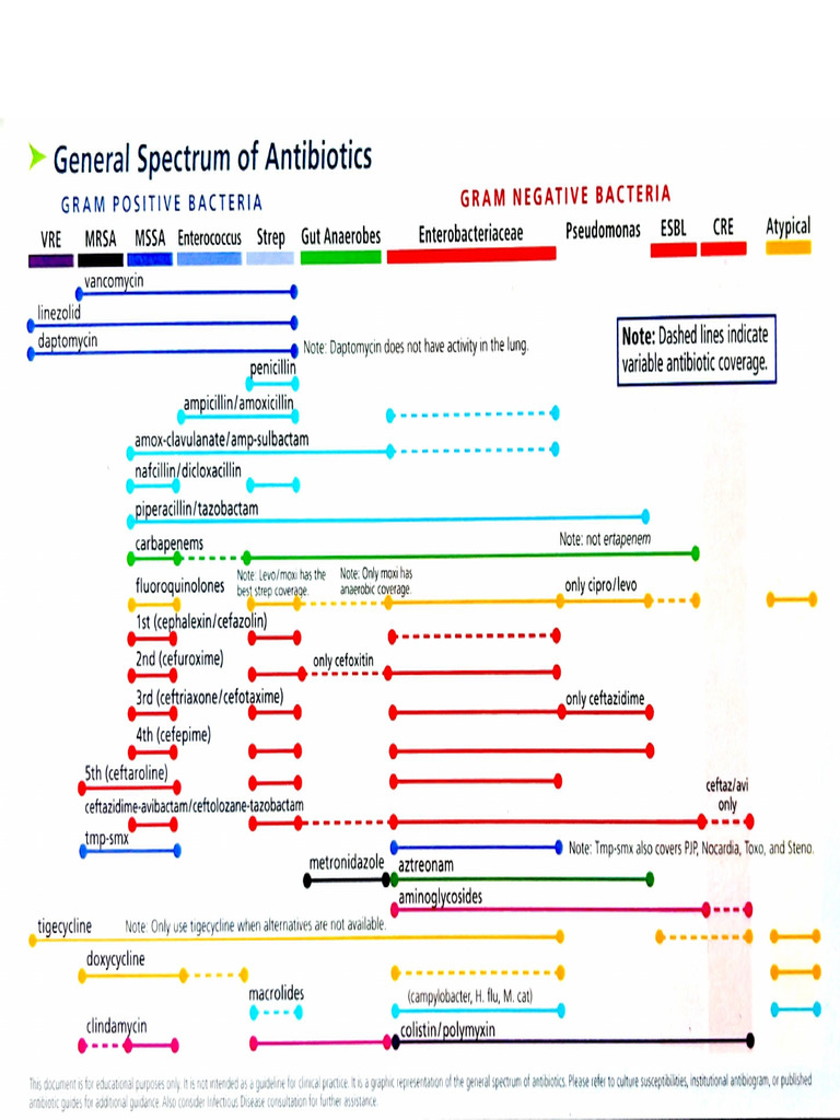 Antibiotic Spectrum Copy | PDF