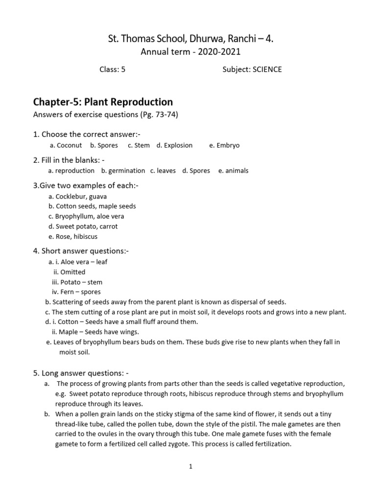 QA STD 5 CH 5 Plant Reproduction | PDF | Seed | Plant Reproduction