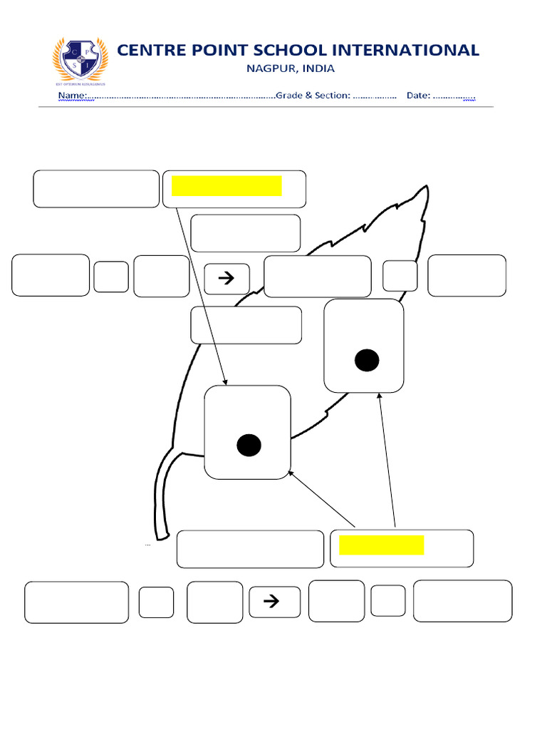 Grade8_Checkpoint Revision and Practice Bio_WS2 | PDF