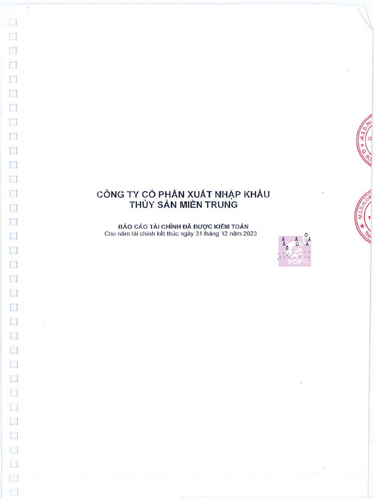 2 SPD 2024 3 1 331b96d BCTC 2023 Da Kiem Toan Ky | PDF