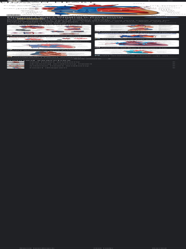 Heart Anatomy For Dummies - Google Search | PDF