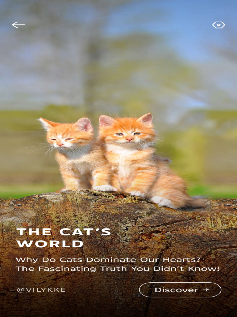 PDF Phoenix 20250413 110907 | PDF