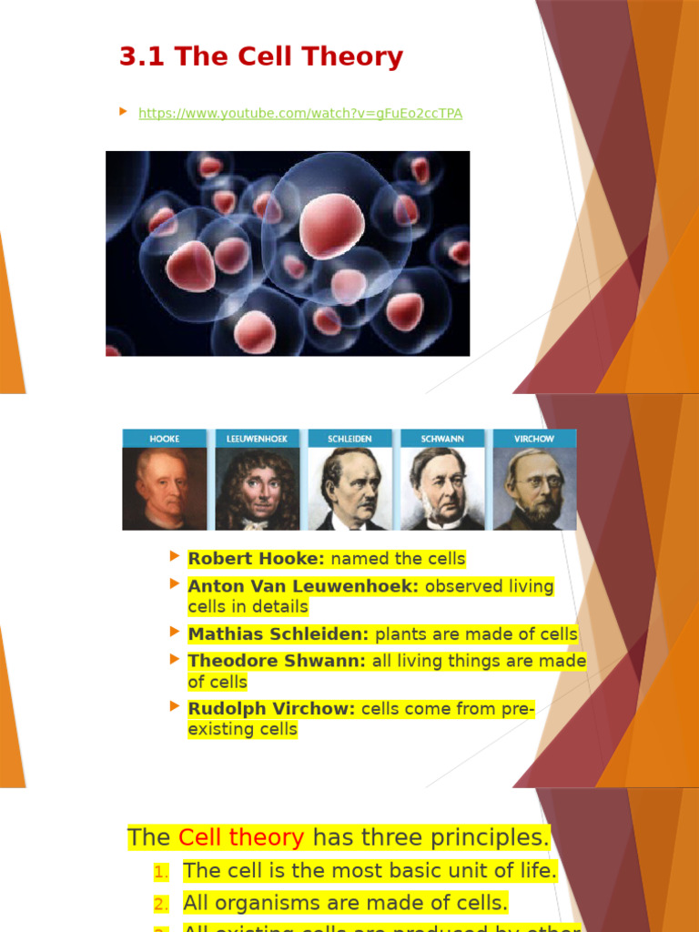 3.1 and 3.2 Cell Theory + Prok Vs Euk + Cell Organelles - Students ...