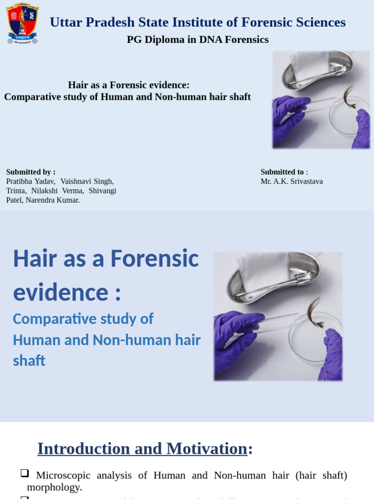 Comparative Study of Hair in Forensics | PDF | Hair | Microscope