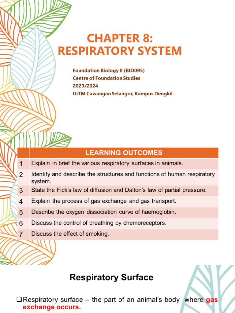 Chapter 8 - Respiratory System 20232024 Students | PDF