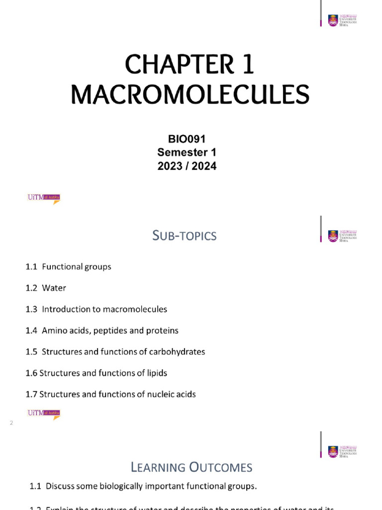 MACROMOLECULES | PDF