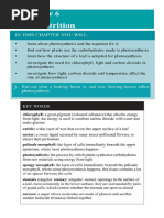Destarching The Leaf | PDF | Photosynthesis | Leaf