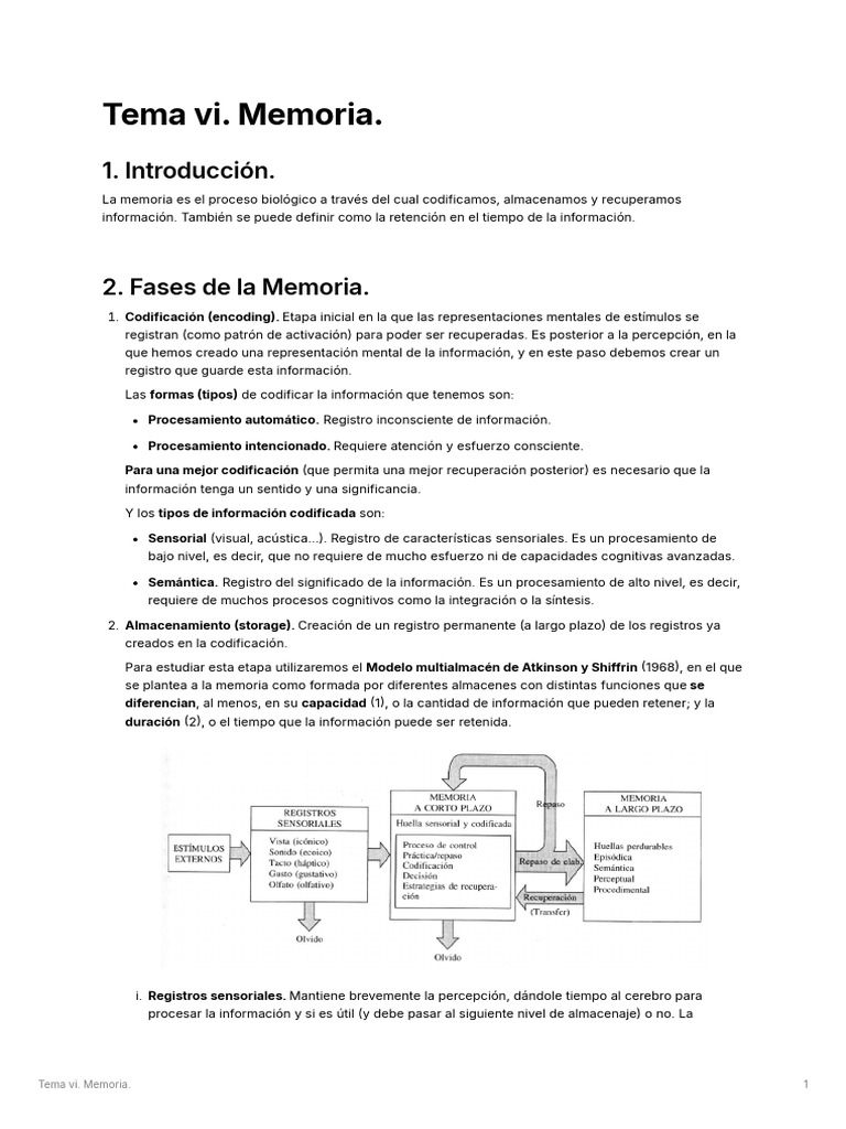 Fases y Tipos de Memoria Humana | PDF | Memoria | Amnesia